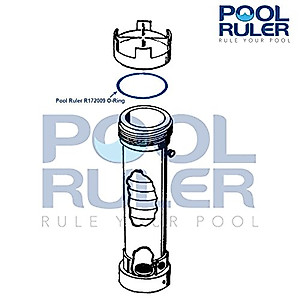 Pool Ruler R172009 Chlorine Resistant VITON O-Ring 2 Pack + Lubricant for Pentair Rainbow Chlorinator 300 & 320 Lid