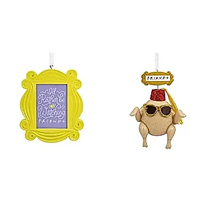 Hallmark Friends Frame Christmas Ornament, Resin & Friends Turkey in Fez and Sunglasses Christmas Ornament, Resin