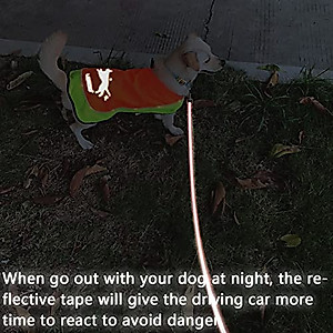 LaRoo Long Dog Leash 32 Feet with Reflective Strip, Waterproof Dog Training Leads Heavy Duty Nylon Recall Lead, Long Line Leash for Pet Puppy Medium Large Dog Training Camping Playing