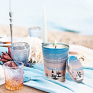 2 Pack Citronella Candles Outdoor Indoor, 110 Hours Soy Wax Citronella Candles Set, Portable Scented Candles for Beach Garden Camping Patio Backyard Accessories