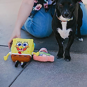 Buckle-Down Dog Toy, Nickelodeon, Plush Squeaker Spongebob Squarepants Full Body with Arms and Legs,DTPT-SQAF