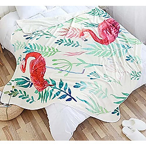 VIVILINEN Flannel Throw Blankets Flamingo Pattern Super Soft Fleece Plush Lap Blankets for Bed Couch Sofa (55"x 72", White)