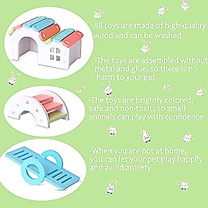 DJun Hamster Rainbow Chew Toys Include House Bridge Swing Seesaw and 10 Colorful Rattan Balls, Pet Sport Exercise Toys Set, Guinea Pig Rat Chinchilla Cage Accessories for Small Animals (Style 1)