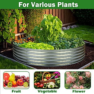 OUSHENG Round Galvanized Raised Garden Beds Outdoor, Steel Fire Pit Ring Flower Planter Metal Above Ground Boxes Kit for Gardening Vegetables Outside, 2×2×1ft