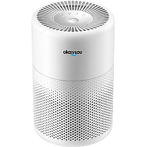 Okaysou Air Purifiers for Home, H13 True HEPA Filter, 22dB DC Filtration System, Remove 99.97% Dust Smoke Pollen Hair VOCs, Quiet Air Cleaner Odor Eliminators