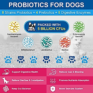 Dog Vitamins Powder, Probiotics & Digestive Enzymes for Gut Health, Glucosamine & Chondroitin & Omega 3, Complete Supplement for Homemade Dog Food, Joint & Skin & Immune Support, Dog Allergy Relief
