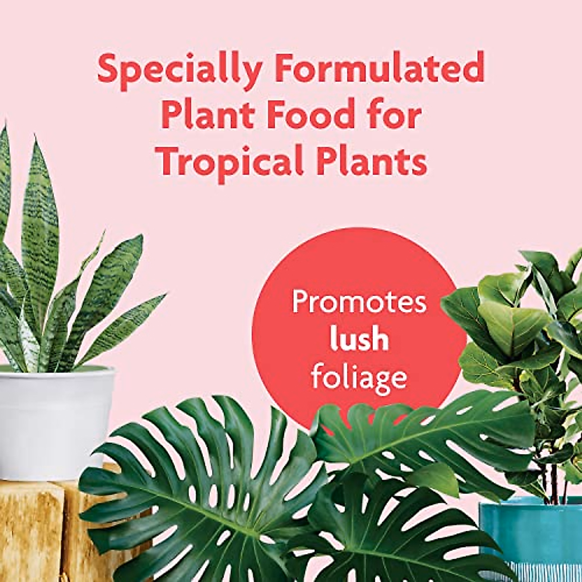 Miracle-Gro Tropical Houseplant Food - Liquid Fertilizer for Tropical Houseplants, 8 fl. oz.