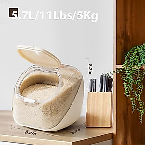 LivLab Rice Container - 10 Lbs Cereal Container Storage Container Bin with Measuring Cup Food Flour Bins Household for Kitchen Pantry Organization (Transparent)