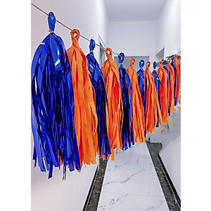 Blue and Orange Tassel Garland Banner Tissue Paper Tassels for Birthdays Bridal Shower Decorations Graduation Party Decorations Supplies