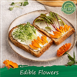 Eat Well Dried Calendula Flowers for Loose Leaf Tea 4 oz, Fragrant Dried Calendula Petals for Calendula Tea, Calendula Buds For Baking, Natural Edible Marigold Flowers, Gourmet Herbal Tea Ingredient