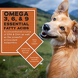 VetWELL Omega 3 Supplement for Dogs with Antarctic Krill Oil, Astaxanthin, Omega 3 6 9, EPA, DHA for Amazing Skin and Coat (60 Count)
