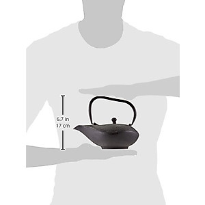 Miya Hobnail Genie Design 32-Ounce Cast Iron Teapot and Teacup Gift Set w/ Strainer and Trivet, Black