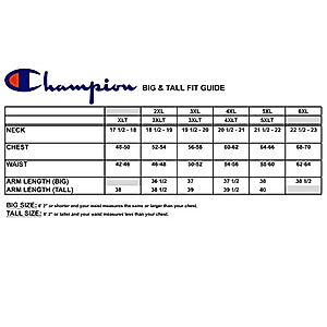 Champion Mens Big & Tall Embroidered Pullover Hoodies Sweatshirt Black XLT