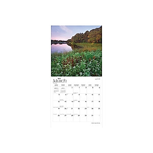 Florida Wild & Scenic | 2023 12 x 24 Inch Monthly Square Wall Calendar | Foil Stamped Cover | BrownTrout | USA United States of America Southeast State Nature