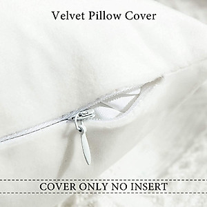 Decorative Velvet Throw Pillow Covers Cushion Case Magic Flock Crows Fly Away Tree Animals Wildlife Bird Parks Black Raven Feather Claw Dark Carrion Pillowcase for Couch Sofa Bed 18 x 18 Inch