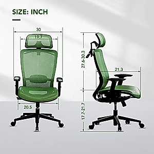FLEXISPOT Office Chair Home Office Desk Chairs with Wheels Computer Chair with Lumbar Support Swivel Headrest Green