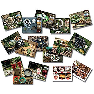 Yellow Door Mud Kitchen Activity Cards