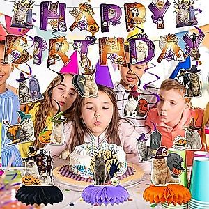 Halloween Cat Birthday Party Supplies Halloween Cat Birthday Party Decorations Includes 1 Birthday Banner, 3 Halloween Cat Honeycomb Centerpieces, 8 Hanging Swirls