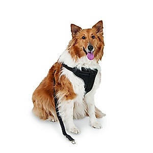 Petmate 11478 The Ultimate Travel Harness for Pets, Large, Black