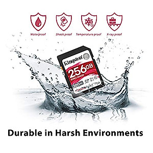 Kingston 128G SDXC Canvas React Plus 300MB/s Read UHS-II, C10, U3, V90 Memory-Card (MLPR2/128GB)