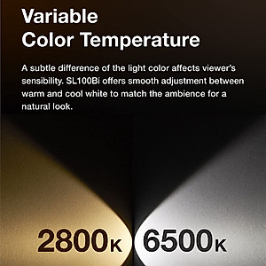 Godox SL100Bi SL Series Bi-Color LED Video Light