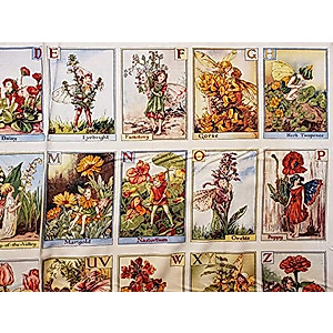 Alphabet Panel Flower Fairy ABC Fabric Michael Miller - 24 Inch Panel
