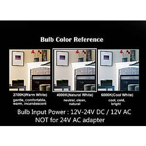 OPALRAY 12V 24V DC Input 8W LED Bulb, ST21(ST64) Style, Dimmable with 12V DC Dimmer, 4000K Bright Neutral White Light, E26 Medium Base Lamp, 80W Incandescent Equivalent, for Low Volt 12V Power, 3 Pack