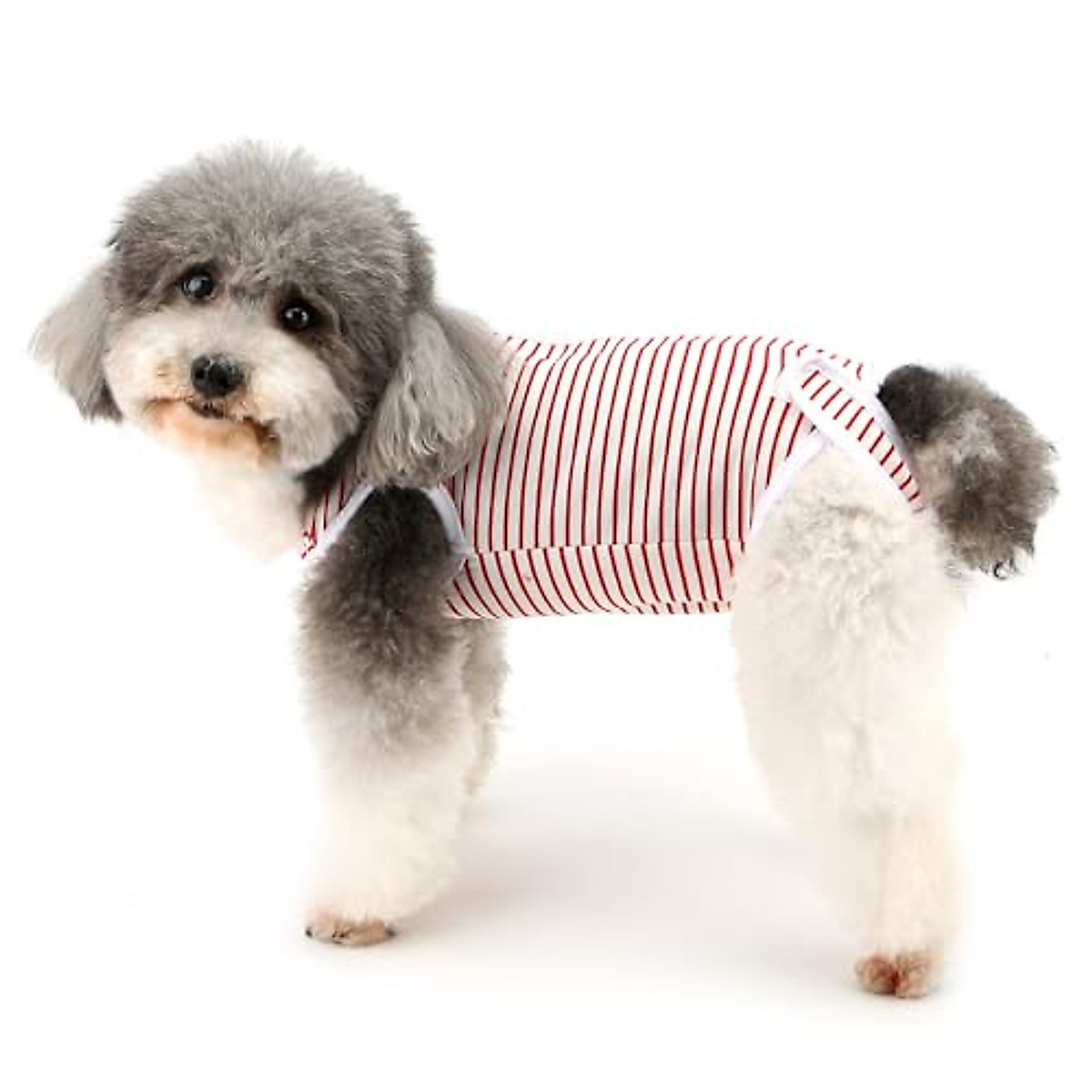 Zunea Dog Recovery Suit for Small Toy Dogs Cat After Surgery Female Puppy Abdominal Wounds Bandages Suit Pet Spay Suit, E-Collar Alternative Wear Anti Licking Red L