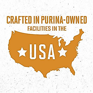 Purina Bundle Pack Adult Dry Dog Food and Treats, ONE Chicken and Rice Formula with DentaLife ActivFresh