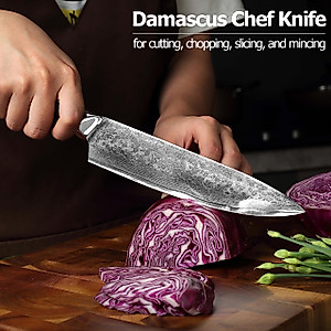 PAUDIN Damascus Chef Knife, 8 Inch Kitchen Knife, Japanese 67-layer VG-10 Stainless Steel Sharp Knife, Professional Chefs Knife with Ergonomic G10 Handle, for Home Kitchen and Restaurant