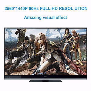 A-technology- DVI Cable 40ft Dual Link 24+1 Male to Male Digital Video Cable Gold Plated with Ferrite Core Support 2560x1600,144Hz for Gaming, DVD, Laptop, HDTV and Projector.