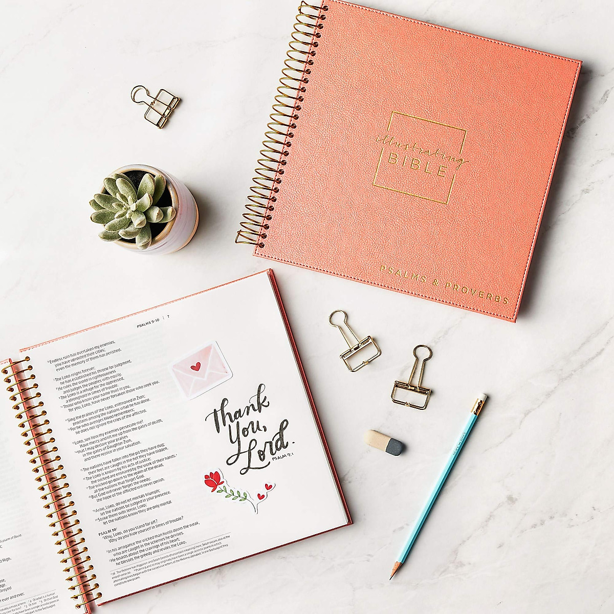 Illustrating Bible NIV: Books of Psalms & Proverbs - Spiral Bound Bible Journal, Coral