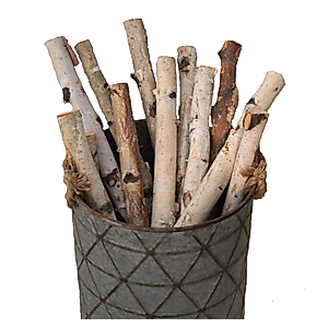 Wilson Decorative White Birch Logs, Natural Bark Wood Home Décor (Set of 12) - 15.5"-17.5" in Length 1"-1.5" Dia.
