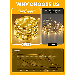 Minetom USB Fairy String Lights with Remote and Power Adapter, 66 Feet 200 Led Firefly Lights for Bedroom Wall Ceiling Christmas Tree Wreath Craft Wedding Party Decoration, Warm White