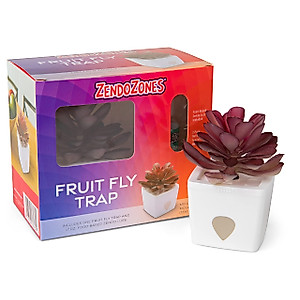 ZendoZones Fruit Fly Traps with Zendo Lure, 2-Pack Mellow Molly & Serene Sandy with Plastic White Base, Refillable and Reusable