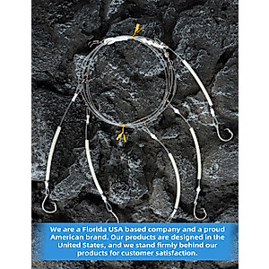 BLUEWING Fishing Deep Drop Rig with Glow Tubes 1pc Snapper, Tilefish Rig with 12/0 Stainless Steel Hooks, Barrel Swivel, 300lbs Line, 1pc