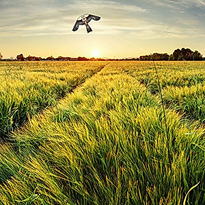 eyijklzo Bird Scaring Flying Kite Deterrent Crops Defenders Farm Protector Bird Fake Hawk Flying Eagle Kite Anti Birds Repellent Control Kit to Scare Birds Away with 4m Telescopic Pole