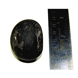 XUETZALCOATL Harihara Atul Laxmi Shaligram Purnachakra Purnagarbha Nepal Kali Gandaki