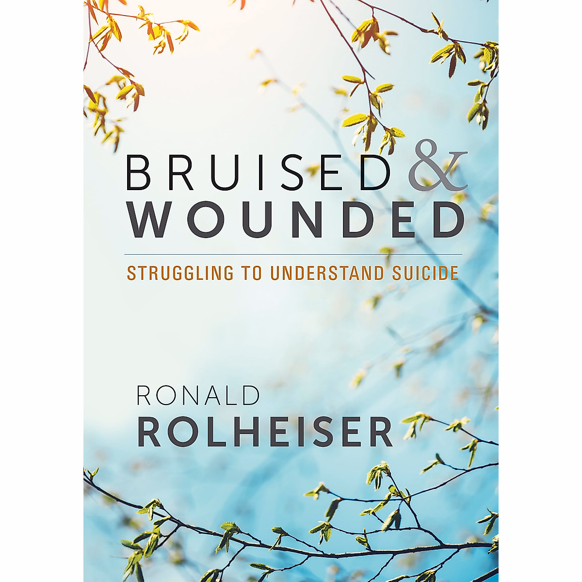 Bruised and Wounded: Struggling to Understand Suicide