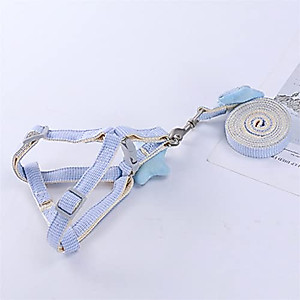 TREXDP Small Dog Puppy Adjustable Breathable Traction Rope Traction Rope Vest Chest Strap Dog Collar Dog Accessories ( Color : Black , Size : Small )