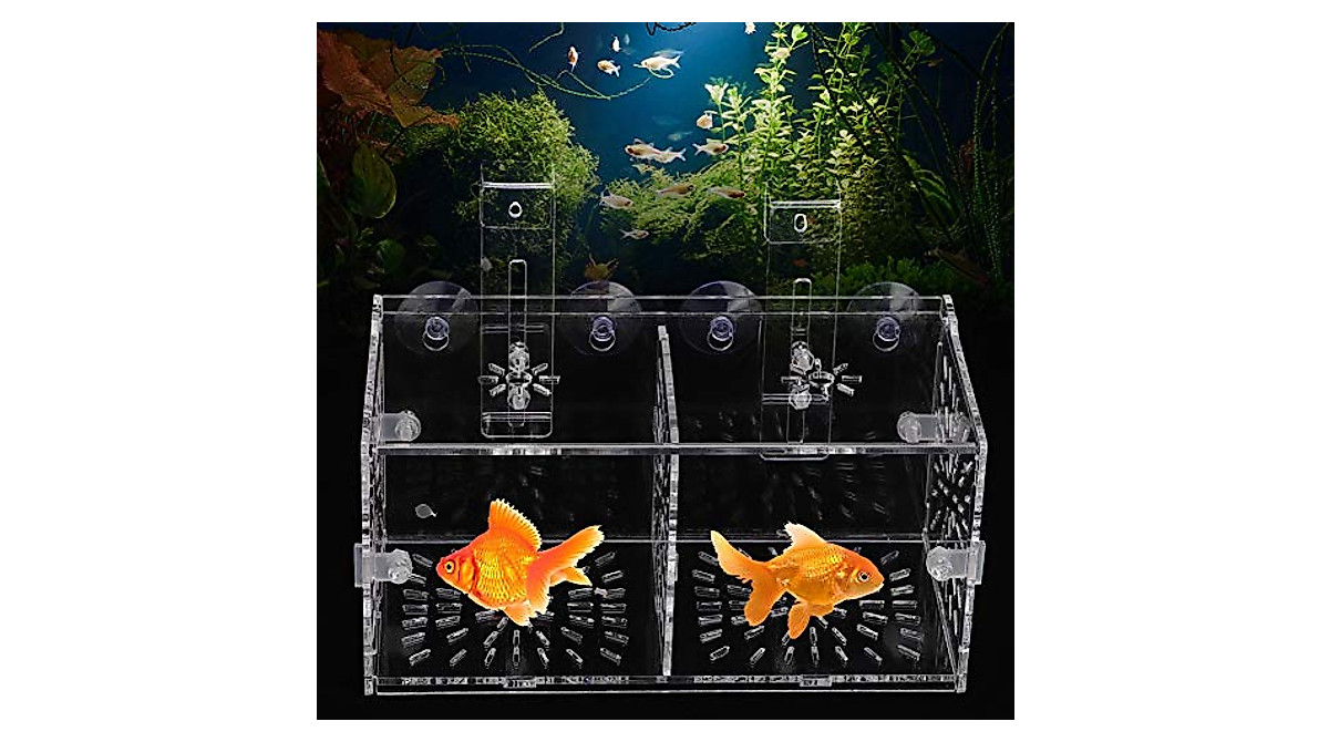 Aquarium Breeder Box - Durable Acrylic Fish Isolation Tank