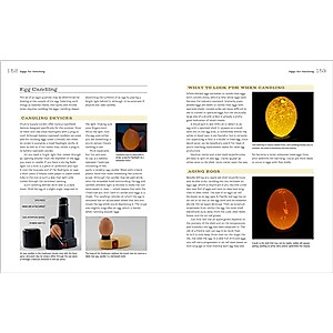 Hatching & Brooding Your Own Chicks: Chickens, Turkeys, Ducks, Geese, Guinea Fowl