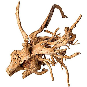 Galapagos (05319) Spider Wood, Natural, 12 - 24"