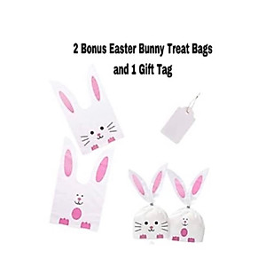 Easter Egg Hunt Oval Plastic Baskets with Ribbons(Pink, Purple, Blue and Yellow) With Special DTJS Easter Bonus