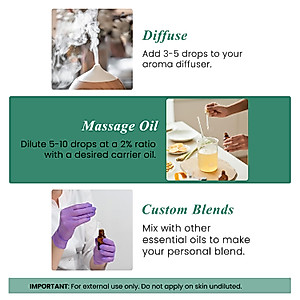 Handcraft Blends Eucalyptus Essential Oil - Huge 4 Fl Oz - 100% Pure and Natural - Premium Grade with Glass Dropper