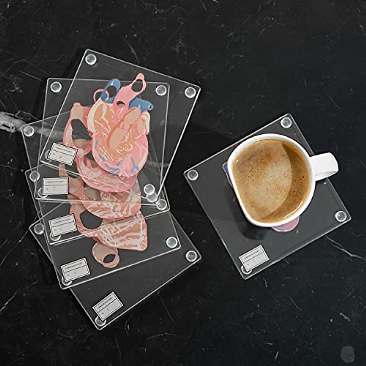 Anatomic Heart Specimen Coasters (Set of 6) - 3D Brain Coaster Set Also Available. Human Anatomy Gifts Medical Student Gifts CNA Gifts for Women Best Gifts for Medical Students Thinkgeek Coasters