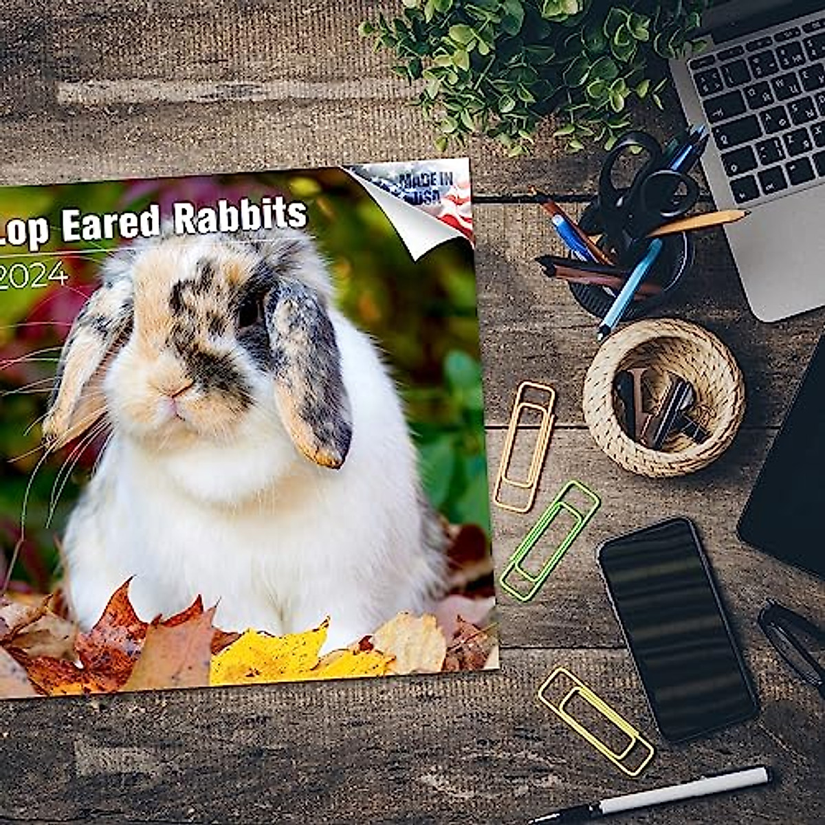 2023 2024 Lop Eared Rabbit Calendar - Cute Animal Monthly Wall Calendar - 12 x 24 Open - Thick No-Bleed Paper - Giftable - Academic Teacher's Planner Calendar Organizing & Planning