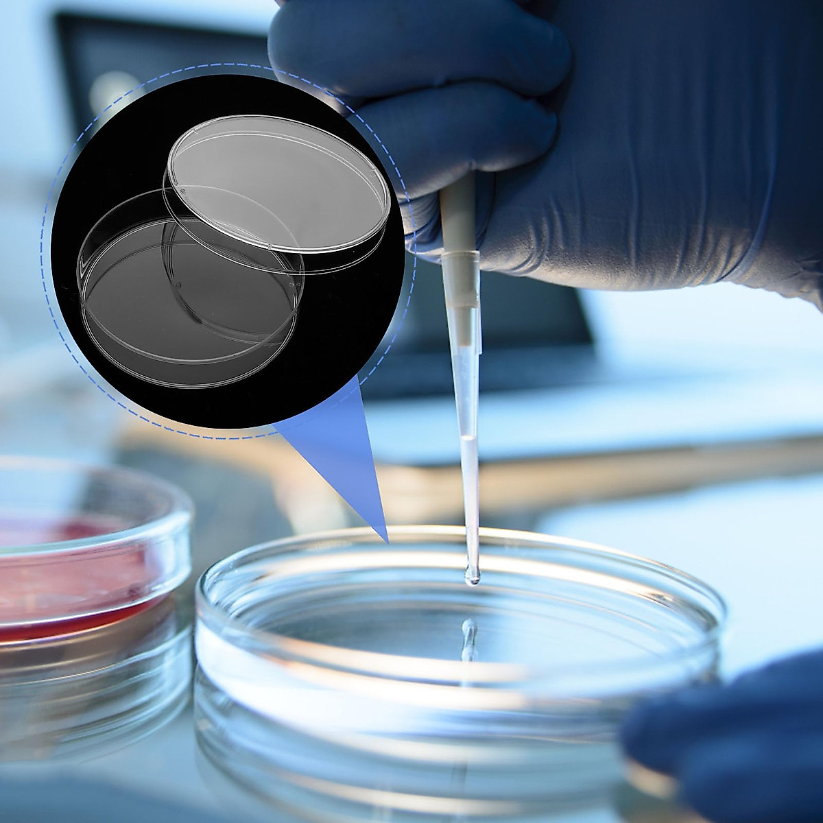 Petri Dishes Agar Plates, Plastic Petri Dish with Lid 70mm Petri Plates for Lab Experiment Biology Microbiology Studies School Teaching, 20pcs