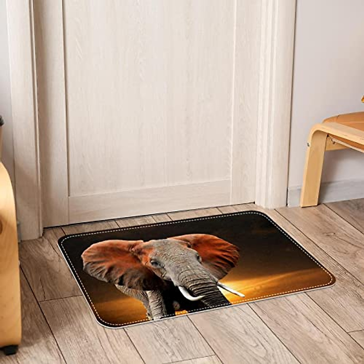 Kenya Old Large Elephant Sunset, Indoor Door Mat Durable Front Door Mats Entryway Rug Non-Slip Absorbent Area Rugs Resist Dirt Rugs for Room Decor, 24"x16"