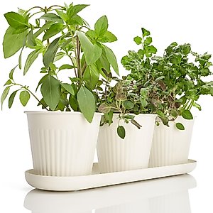 KIBAGA Beautiful Herb Garden Planter Indoor Set of 3 - Perfect for Any Kitchen Window Sill or Countertop - A Modern Decor Gardening Planter Kit Incl. Tray & Drainage Holes to Grow Fresh Herbs at Home